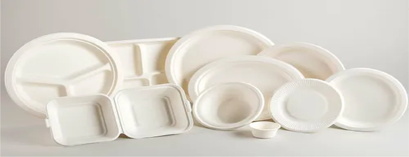 Packman: Food Packaging: Usage of Sugarcane Plates
