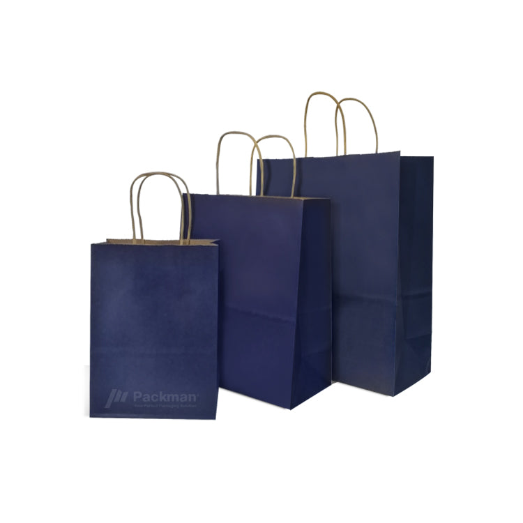 15 x 8 x 21cm Navy Paper Bag (100pcs) – Packman