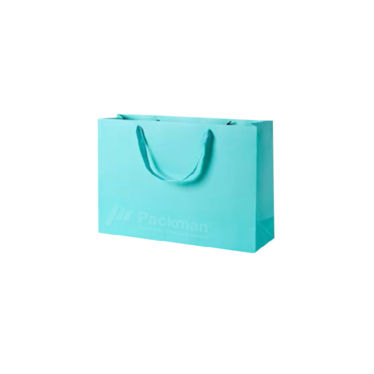 29 x 10 x 23cm Turquoise Paper Bag (20pcs) — Packman