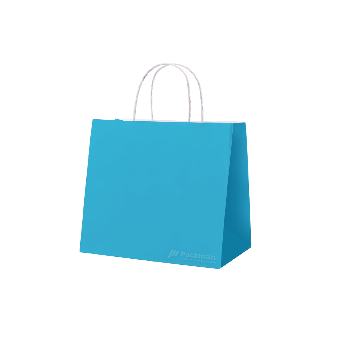 32 x 11 x 25cm Blue Paper Bag (100pcs) — Packman