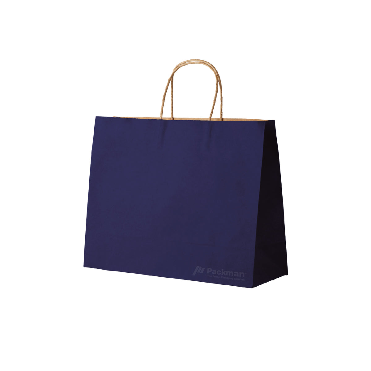 32 x 11 x 25cm Navy Paper Bag (100pcs) — Packman